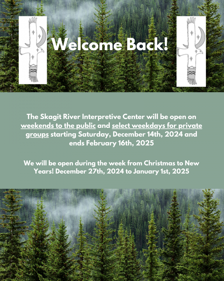 Bald Eagle Interpretive Center | Skagit River Bald Eagle Interpretive ...